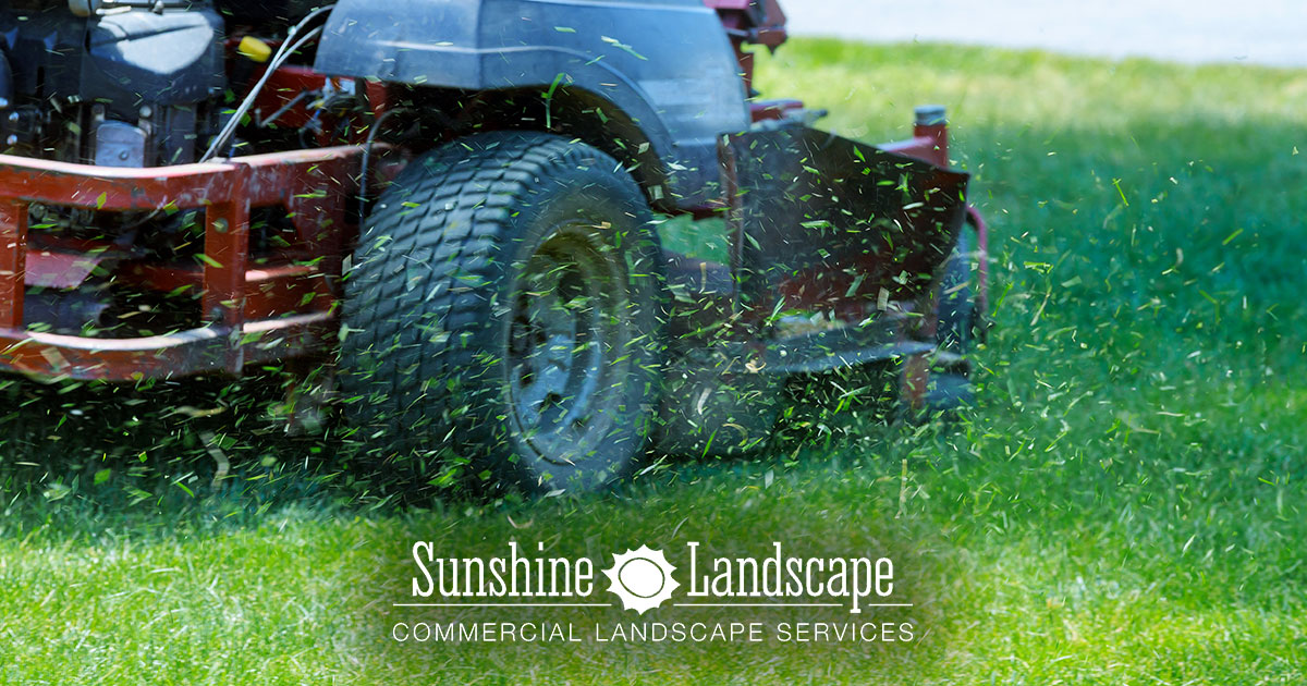 Landscaping & Lawn Care Boise | Sunshine Landscape Boise